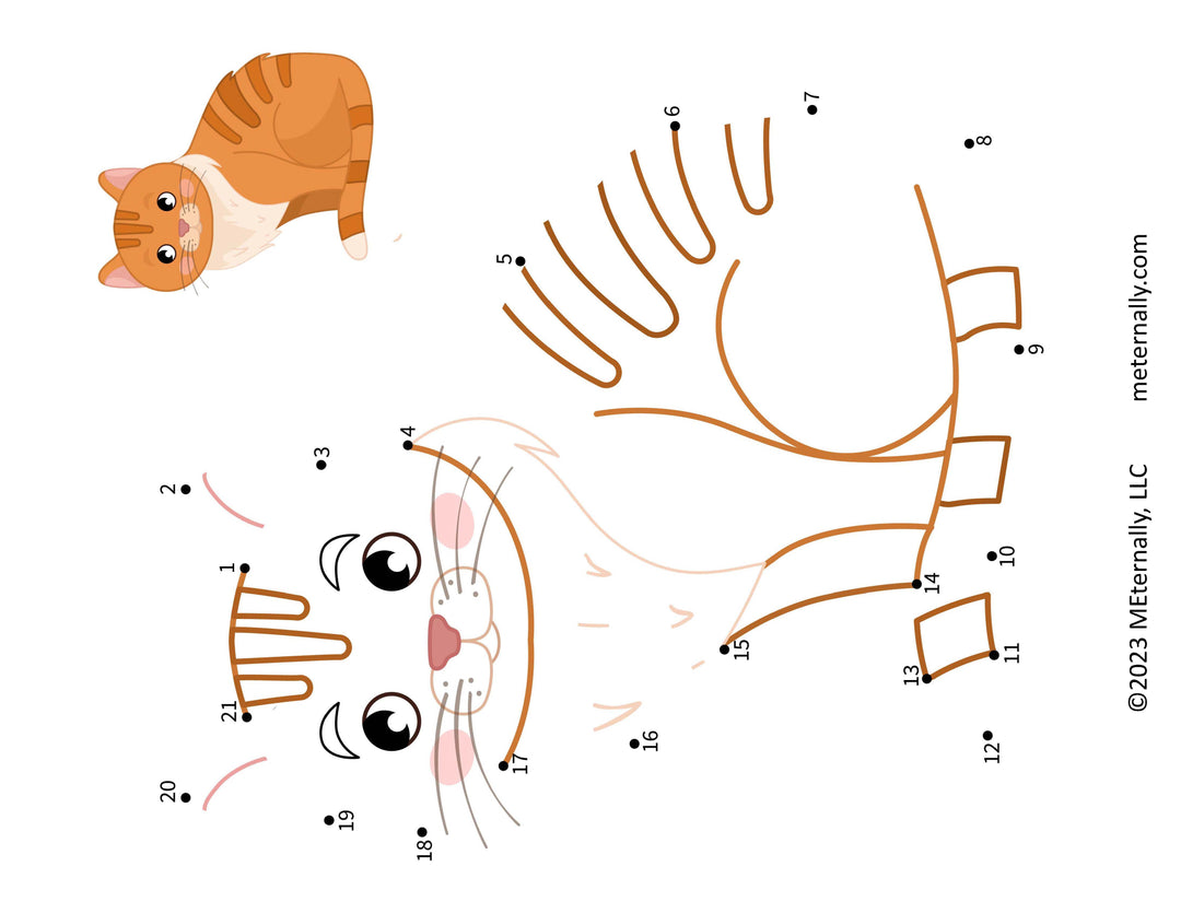 Digital Download - Cats Activity Pack – MEternally